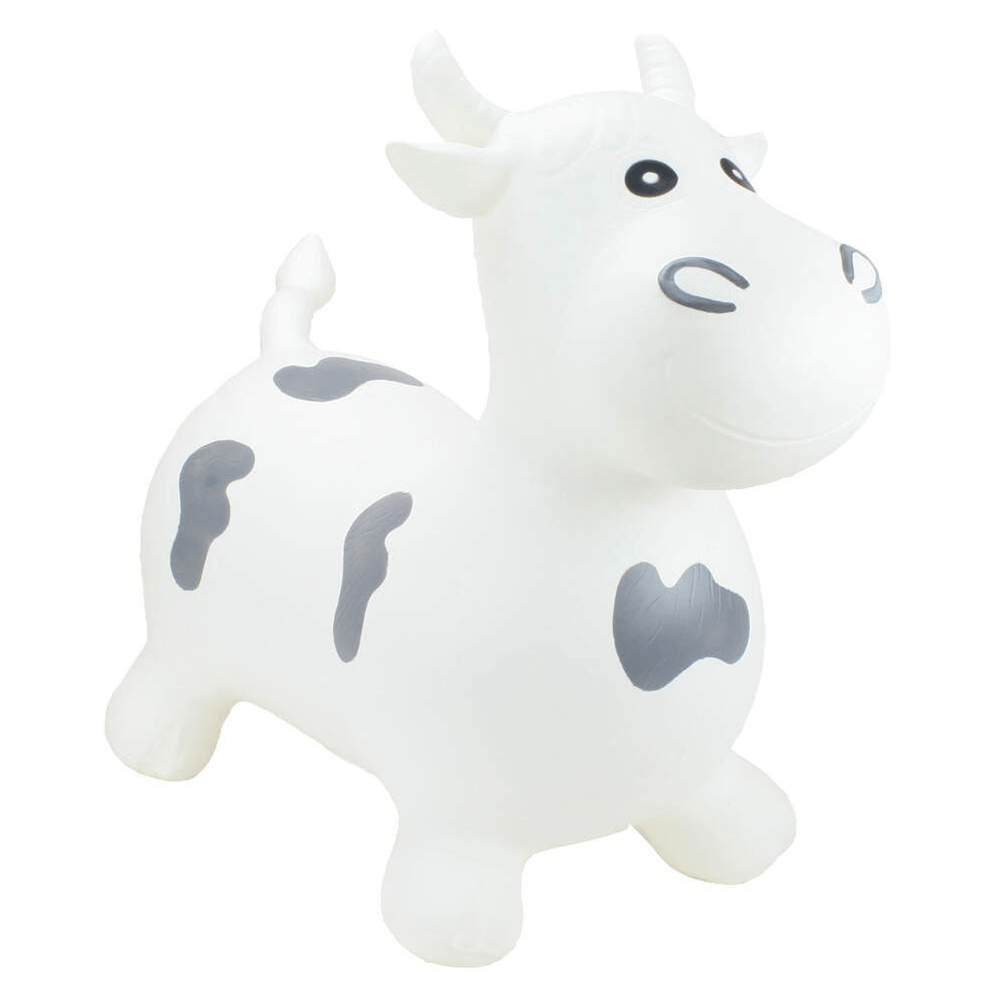Happy Hopperz | Inflatable Baby Space Hopper Toys at Baby & Co